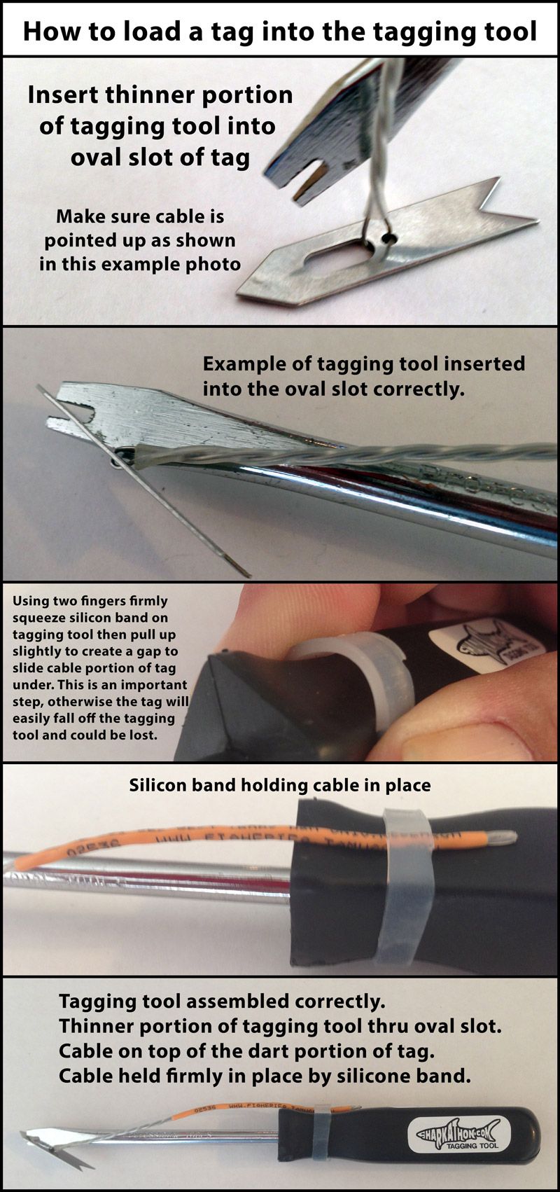 Tagging Instructions